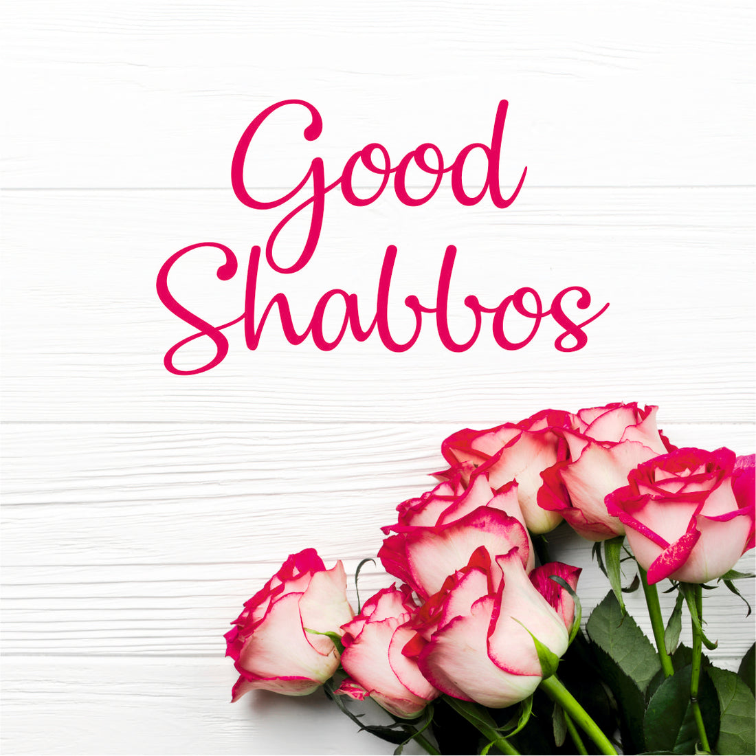 Good Shabbos Card – Wrap a Wish